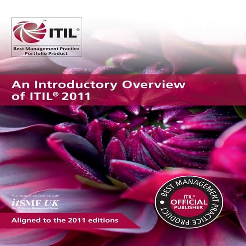An Introductory Guide to ITIL Service Management | PDF
