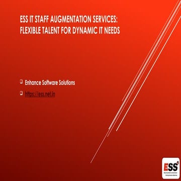 IT Staff Augmentation Service | ESS.pptx