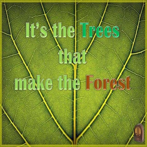 It’S The Trees That Make The Forest (V M ) (Fil Eminimizer) | PPSX