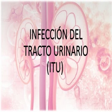 Infección del Tracto Urinario en medicina | PPTX