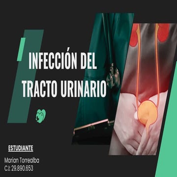 Comprehensive Overview of Urinary Tract Infections: Definitions ...