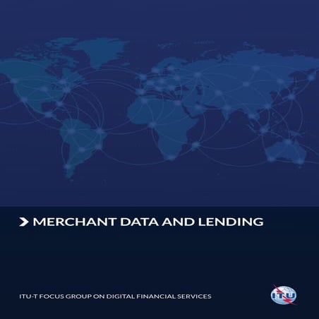 Merchant Data and Lending | PDF
