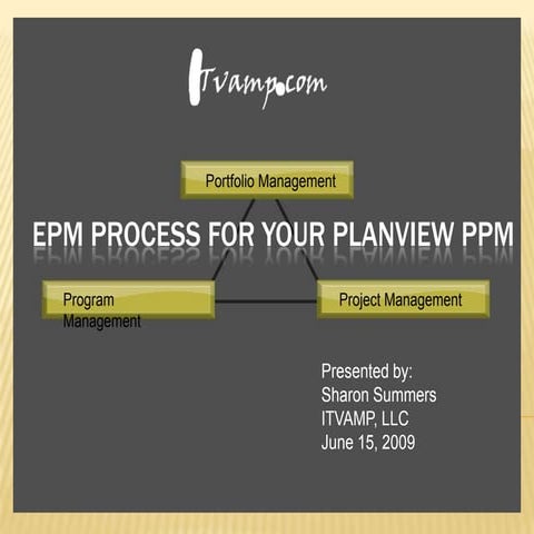 ITVAMP EPM Process for Planview 2009 | PPTX