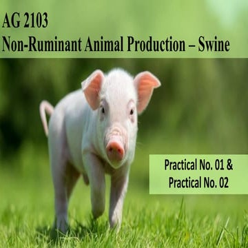 AG_2103_swine_12.pdf
