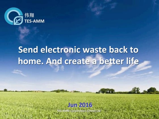 TES-AMM Reference | PDF