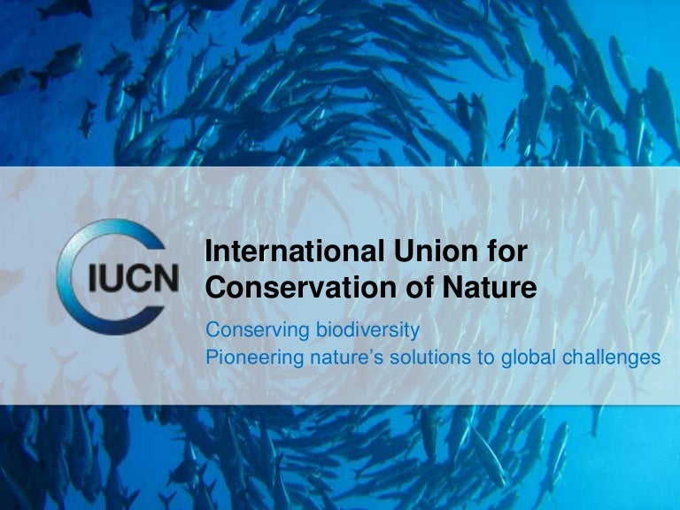 IUCN General Presentation