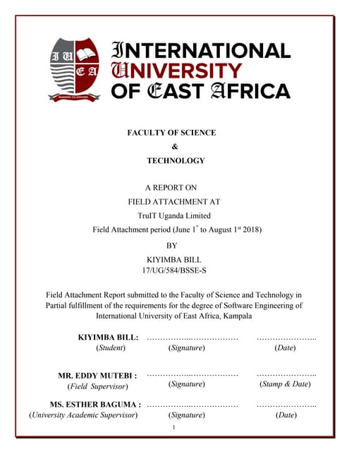 Computer science/ IT Fianl attachment report | PDF