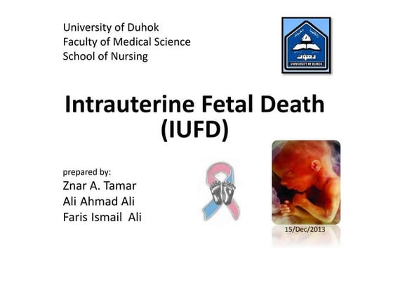 Iufd | PPT