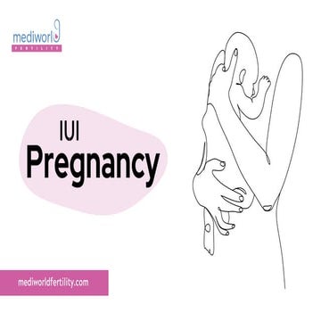 IUI Pregnancy.pdf