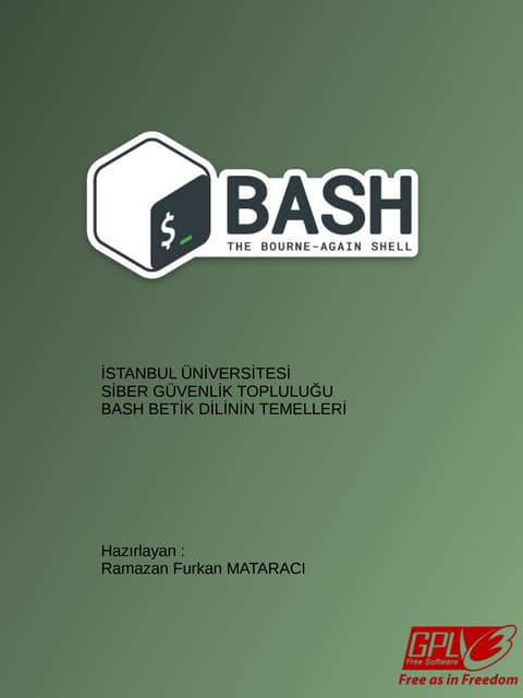 C dosya-isleme | PDF