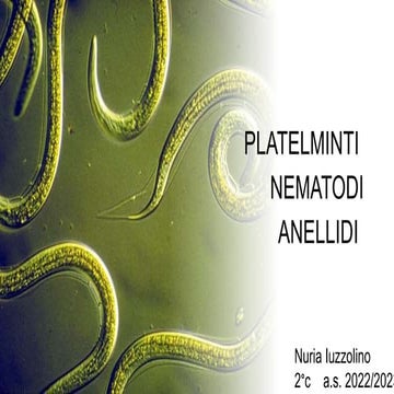 IuzzolinoNuria_capolavoroebook2024_25.pdf