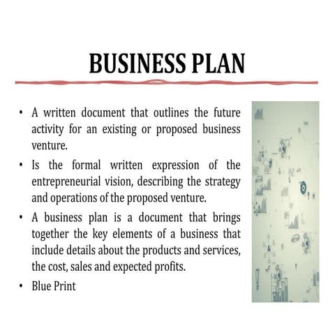 IV_Business_Plan.pdf