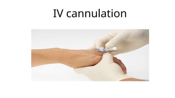 nursing steps in the provision of perineal carePerineal Care.ppt