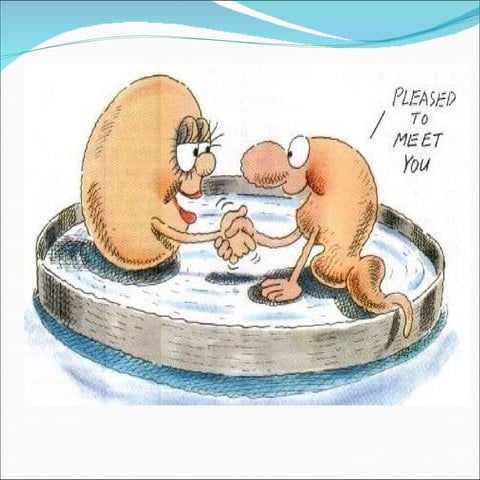 IVF - what everyone needs to know about IVF | PPT