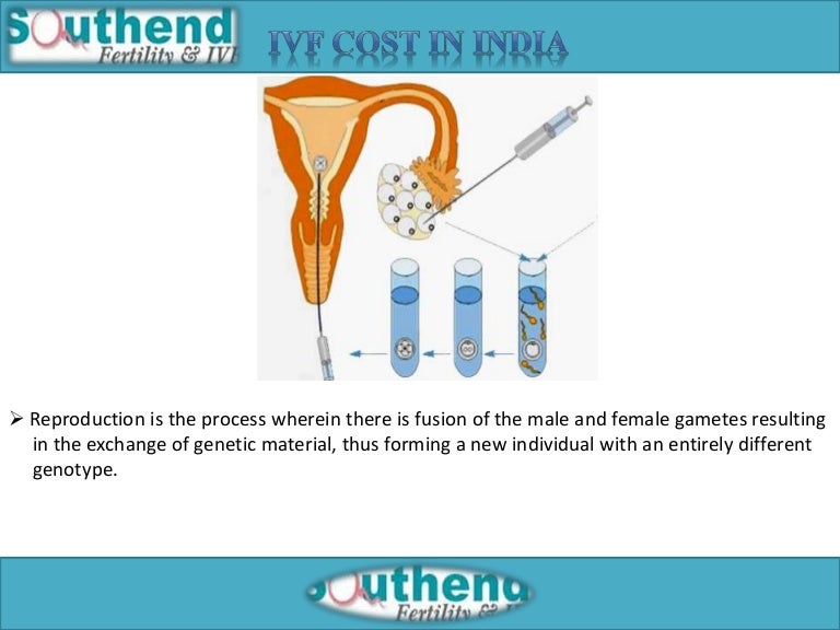 IVF Cost In India IVF IVF Treatment IVF Success Rate ivf-cost-in-india-ivf-ivf-treatment-ivf-success-rate