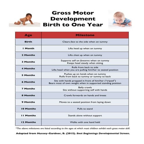 Gross motor development birth to one year | PDF