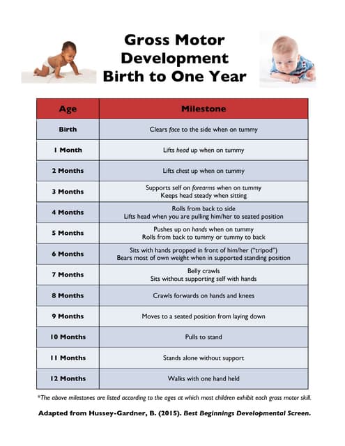 Fine and Gross Motor Development | PPTX