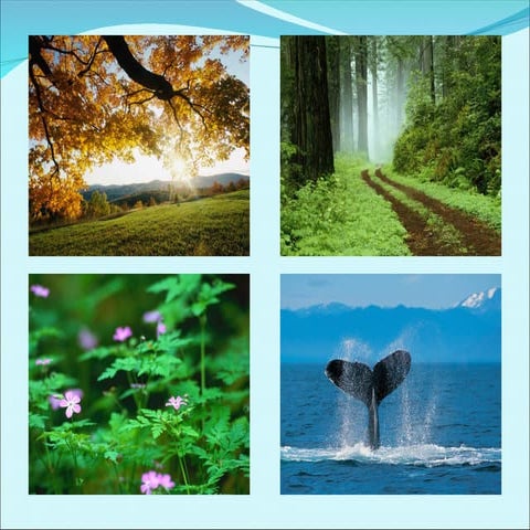 Plasma volume expanders | PPTX