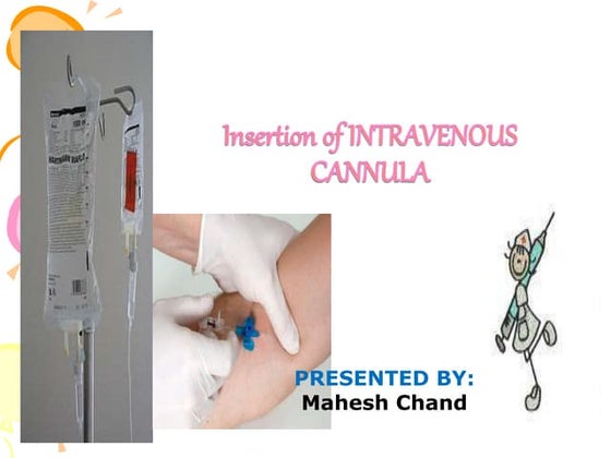 IV CANNULA INSERTION | PPTX | First Aid | Injuries