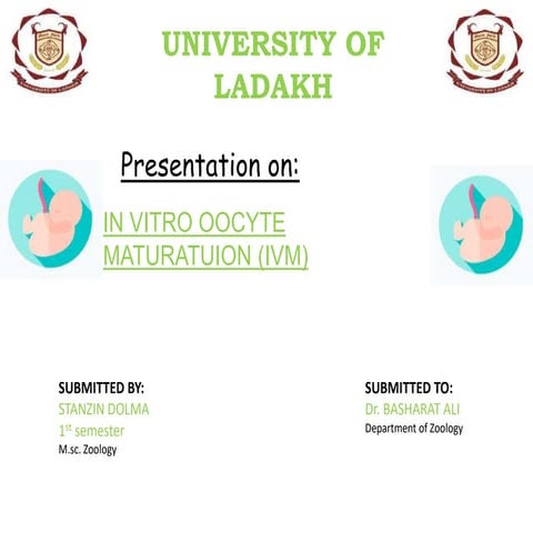 IVM (In vitro oocyte maturation).pptx
