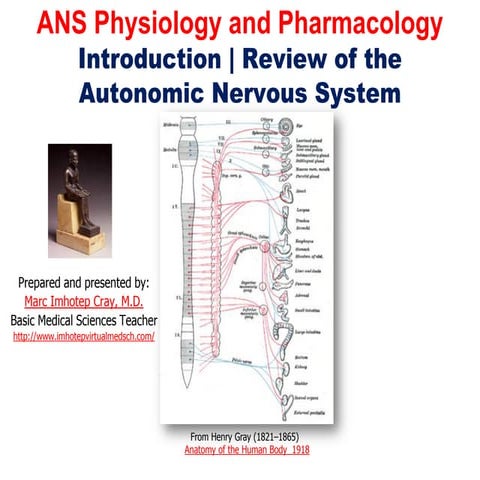 ANS Pharmacology -Intro to the Autonomic Nervous System | PPT