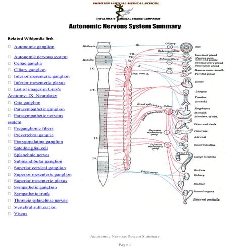 Autonomic nervous system | PPTX
