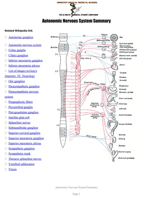 Heart Nerve Anatomy Cardiac Innervation | PPTX | Brain and Nervous System Disorders | Diseases ...