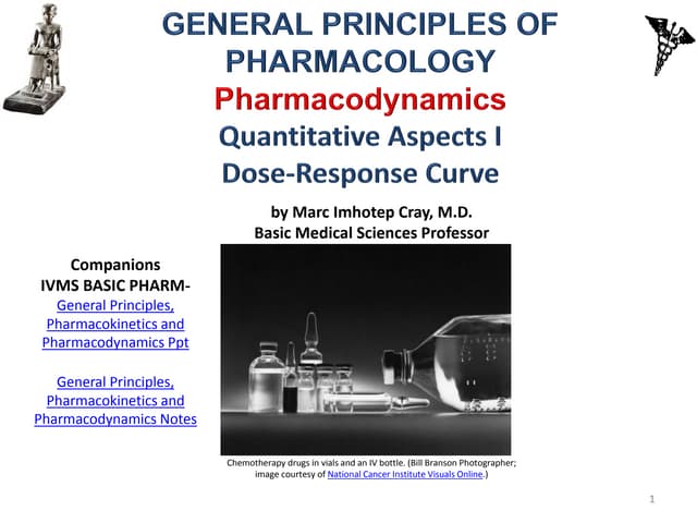 Pharmacokinetics and Pharmacodynamics | PPT