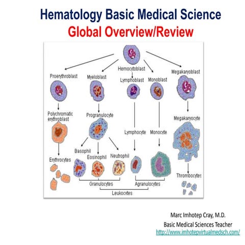Hematology_Comprehensive Blood Physiology Review | PDF
