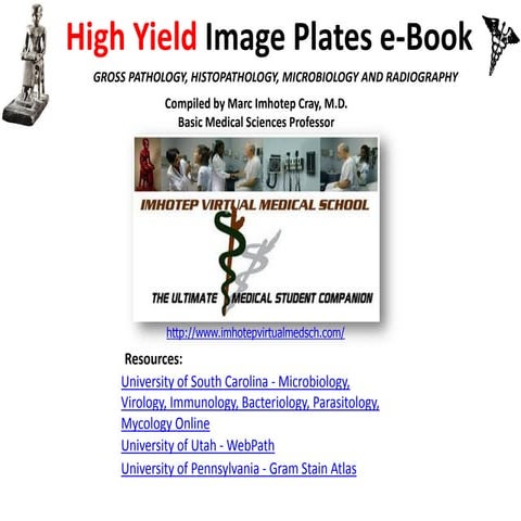 High Yield Image Plates-Gross Pathology, Histopathology, Microbiology ...