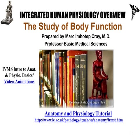 IVMS- INTEGRATED HUMAN PHYSIOLOGY OVERVIEW-The Study of Body Function | PDF