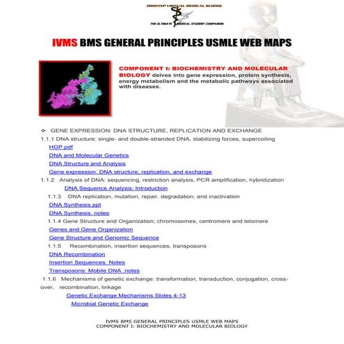 Ivms bms general principles usmle web map biochemistry and molecular ...