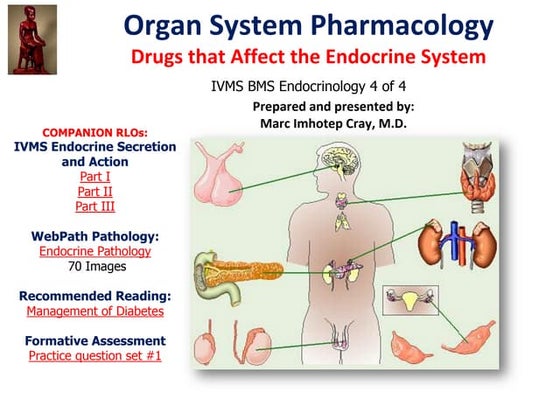 Endocrine system pharmacology 7th semester | PPT