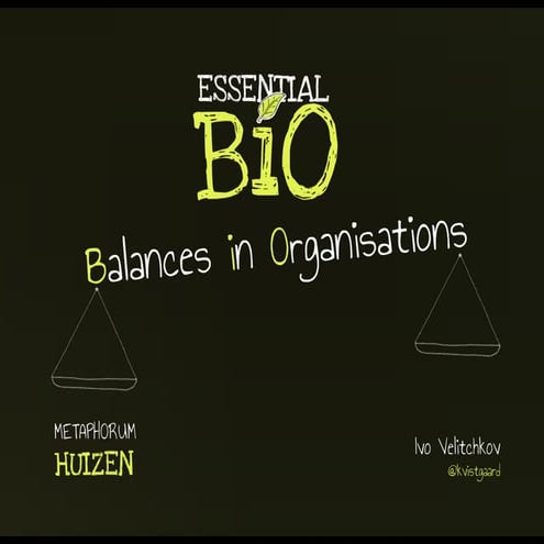 Essential Balances - Metaphorum 2019 | PPT