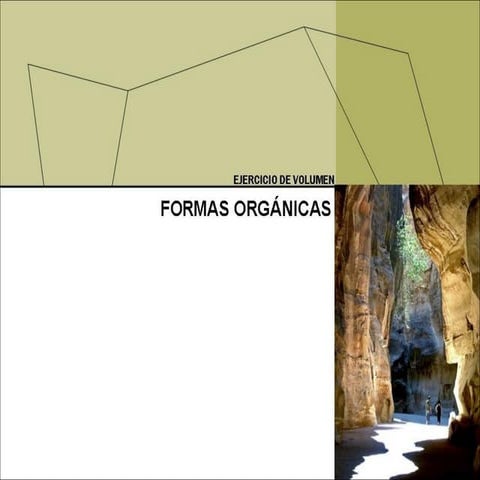 FORMAS ORGÁNICAS | PPT