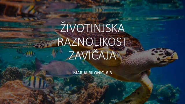 Biljke i životinje naših livada | PPTX