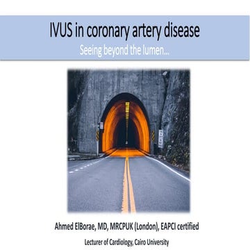 IVUS Intravascular ultrasound made easy for intervention cardiologist | PDF