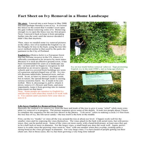 Ivy removal fact_sheet | PDF