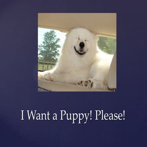 I want a puppy! please! | PPTX