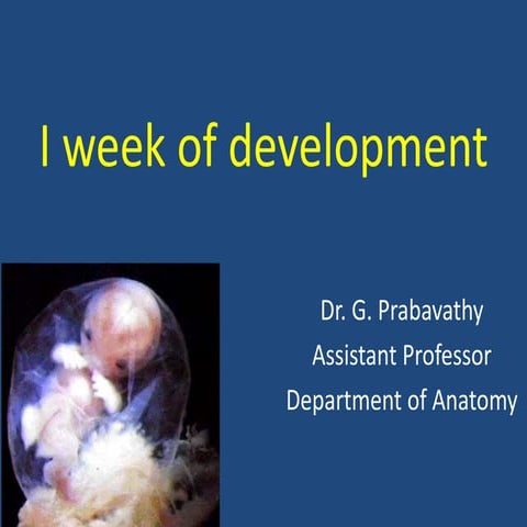 I week of development | PPTX