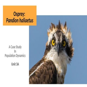 UNIT 3A: Osprey Case Study (wildlife population dynamics).pptx