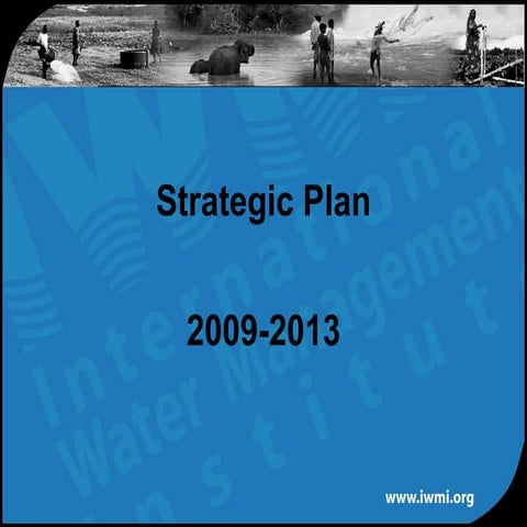 International Water Management Institute (IWMI) Strategic Plan ...