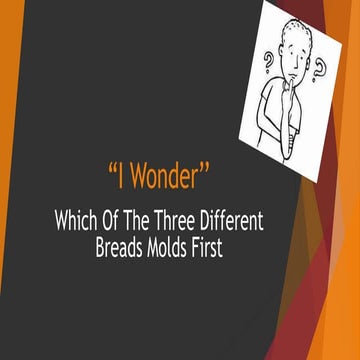 I wonder... | PPT