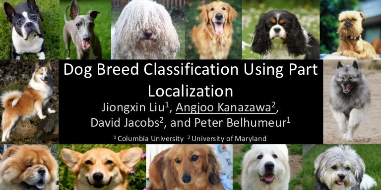 Dog Breed Classification Using Part Localization