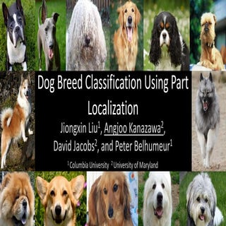 Dog Breed Classification Using Part Localization | PPTX