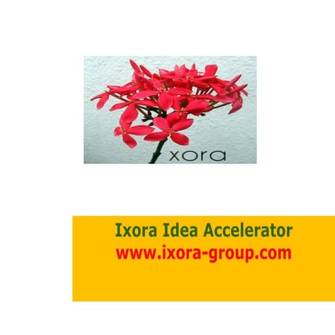 Ixora Idea Accelerator | PPT