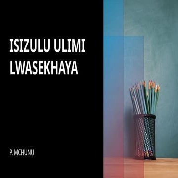 Izinhlobo Zamabizo (Types of Nouns) IsiZulu Ibanga 8 | PDF