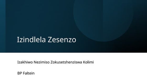 SIYINI ISENZO | PPT