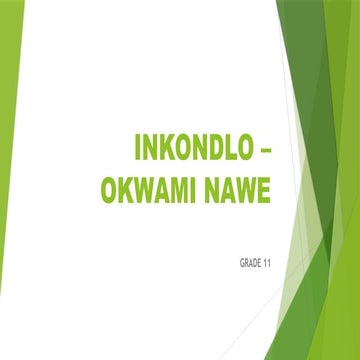 IZINKONDLO SLIDES OKWAMI NAWE grade 11.pptx