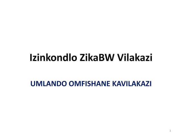 NDEBELE POEMS - Inkondlo zikasibeko | PDF